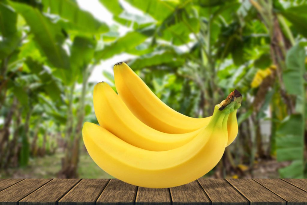FreshPoint | Produce 101: Banana Guide